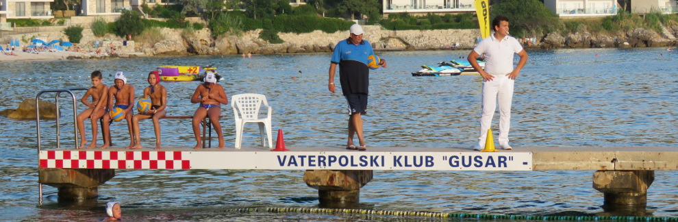 V.K. Gusar
